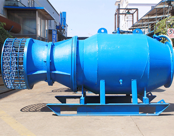 Submersible axial flow pump